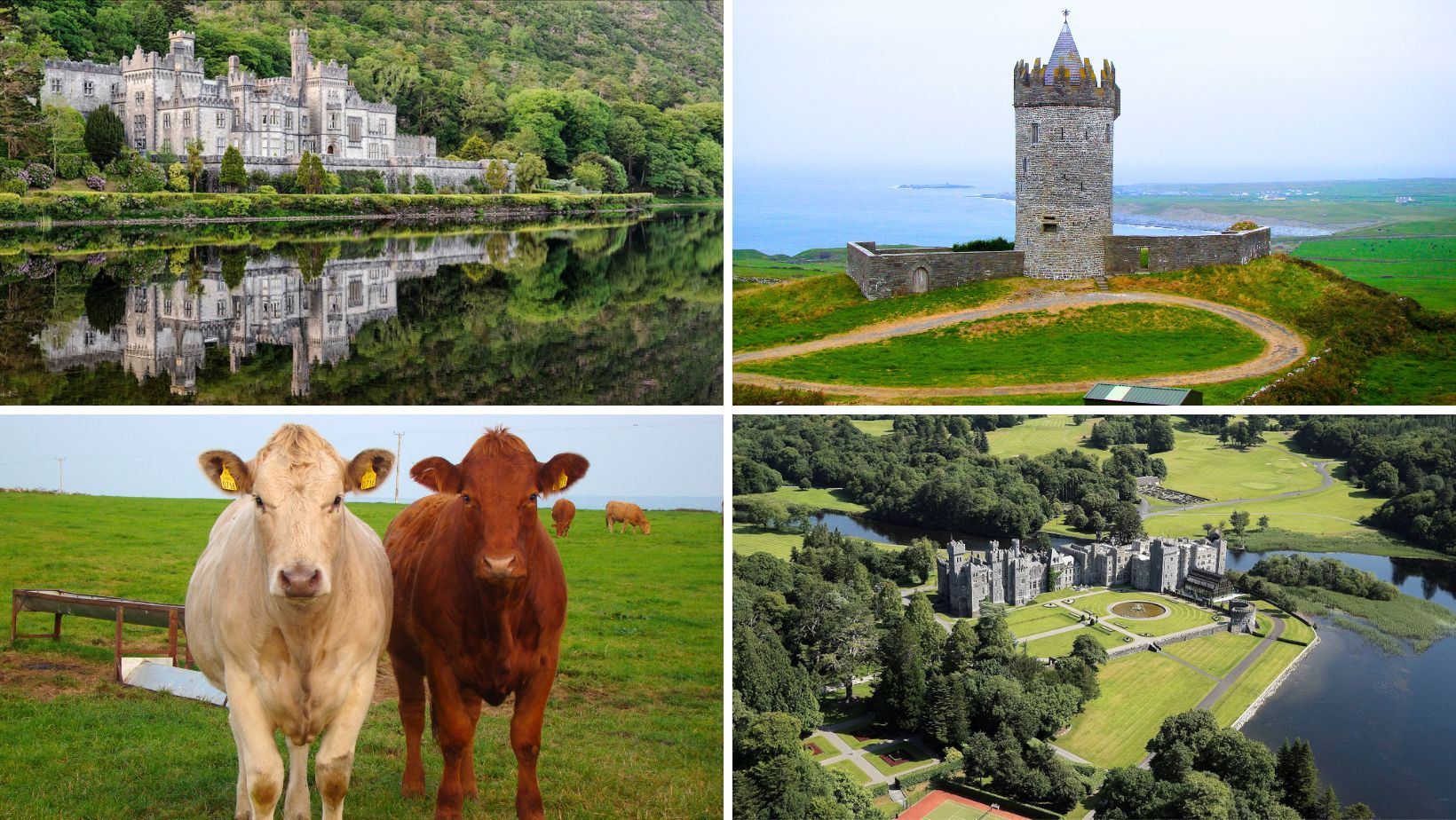 Elaine O'Rourke Ireland Retreat 2024 - Elaine O'Rourke